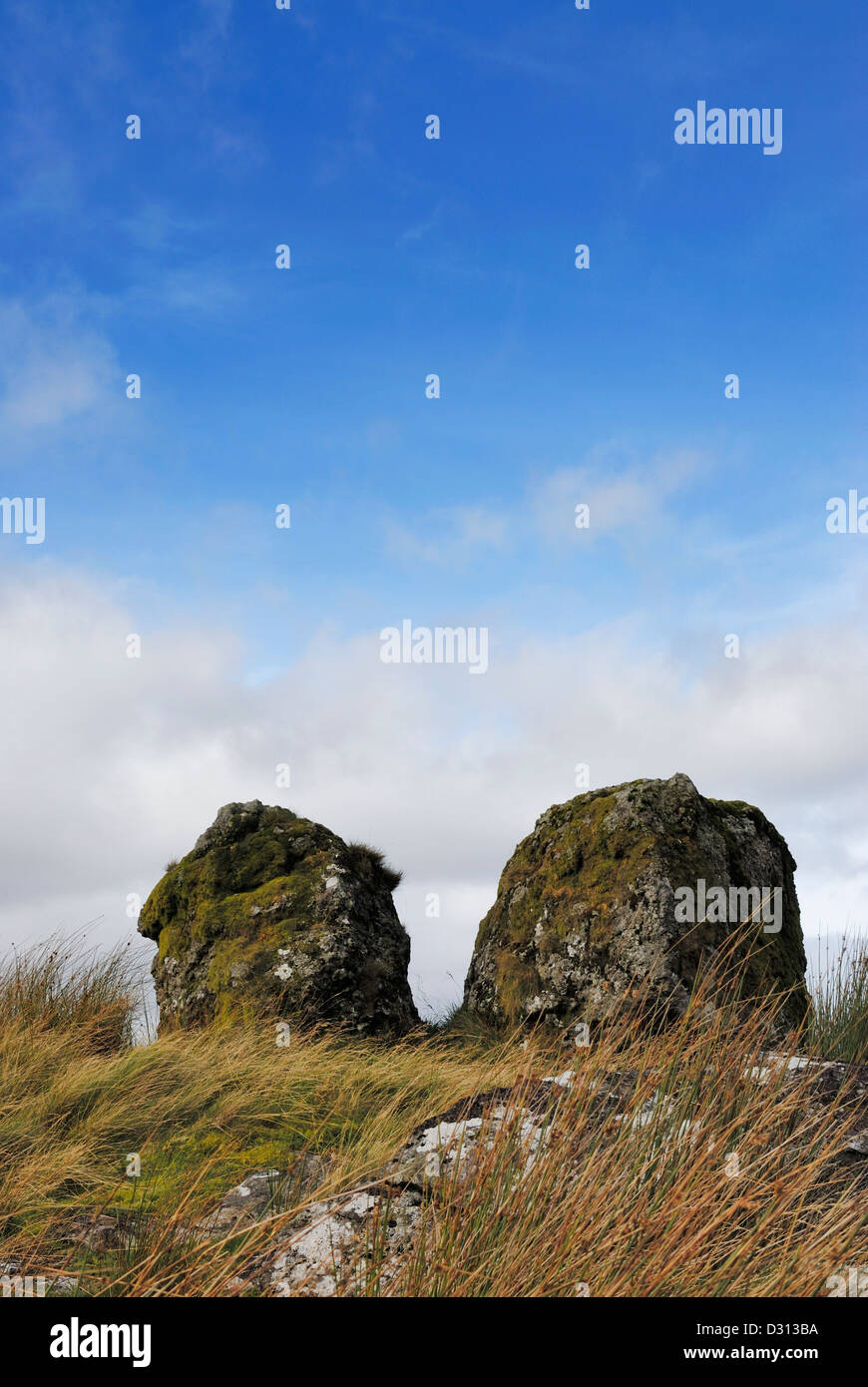 Upland peatland hi-res stock photography and images - Alamy