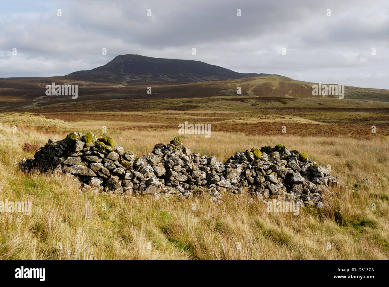 Ancient building remains on Migneint, an upland moorland in North Wales ...