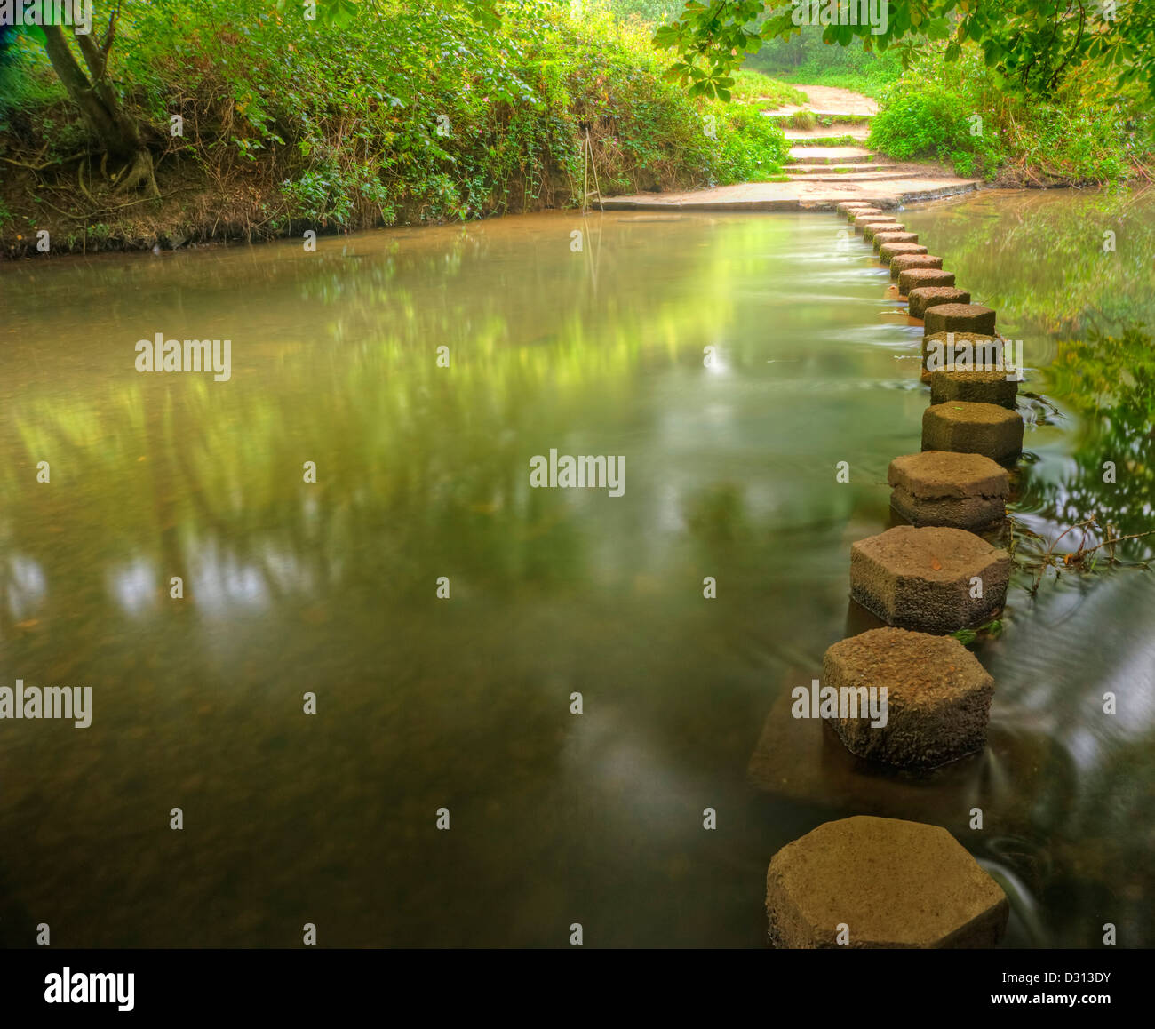 Enchanted forest scene of slow flowing stream with vibrant reflections ...