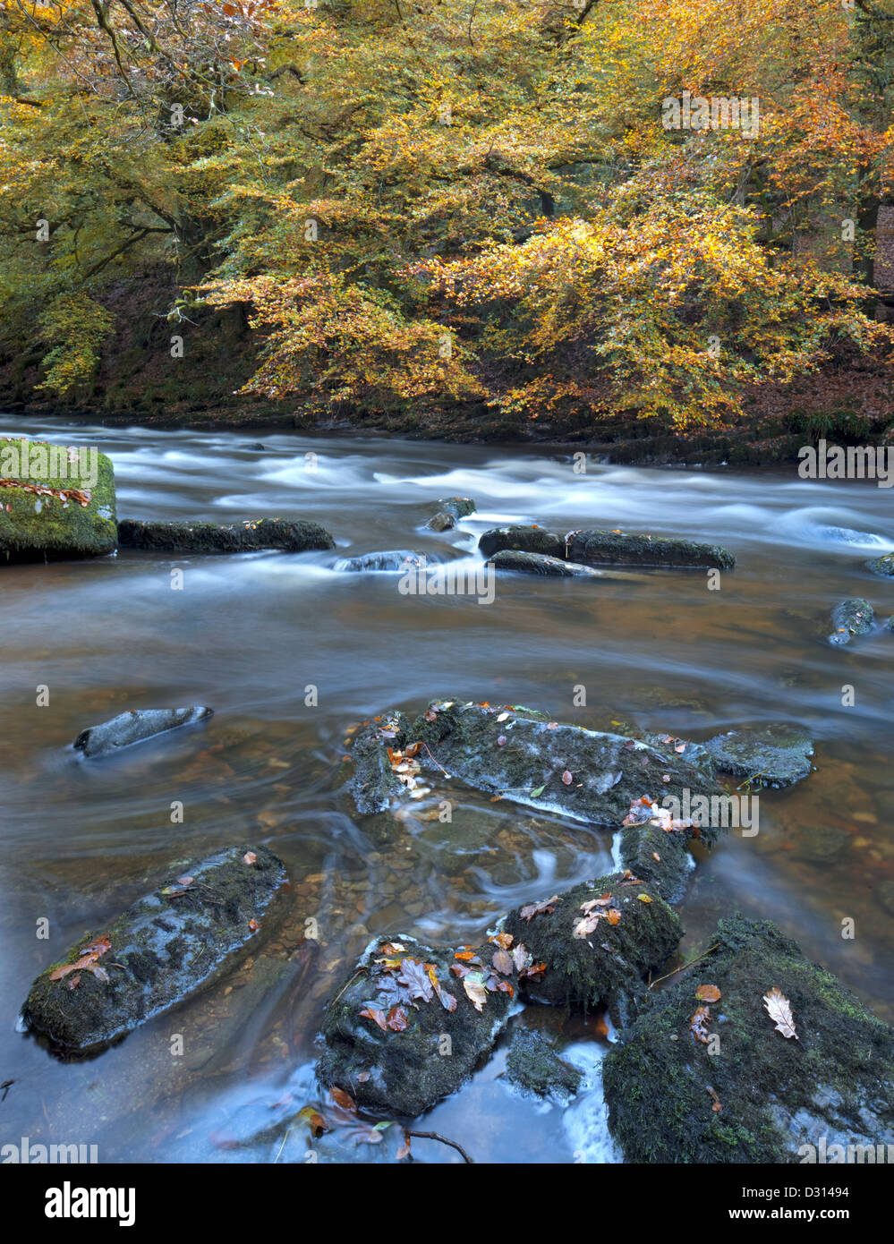 Rivers in exmoor national park hi-res stock photography and images - Alamy