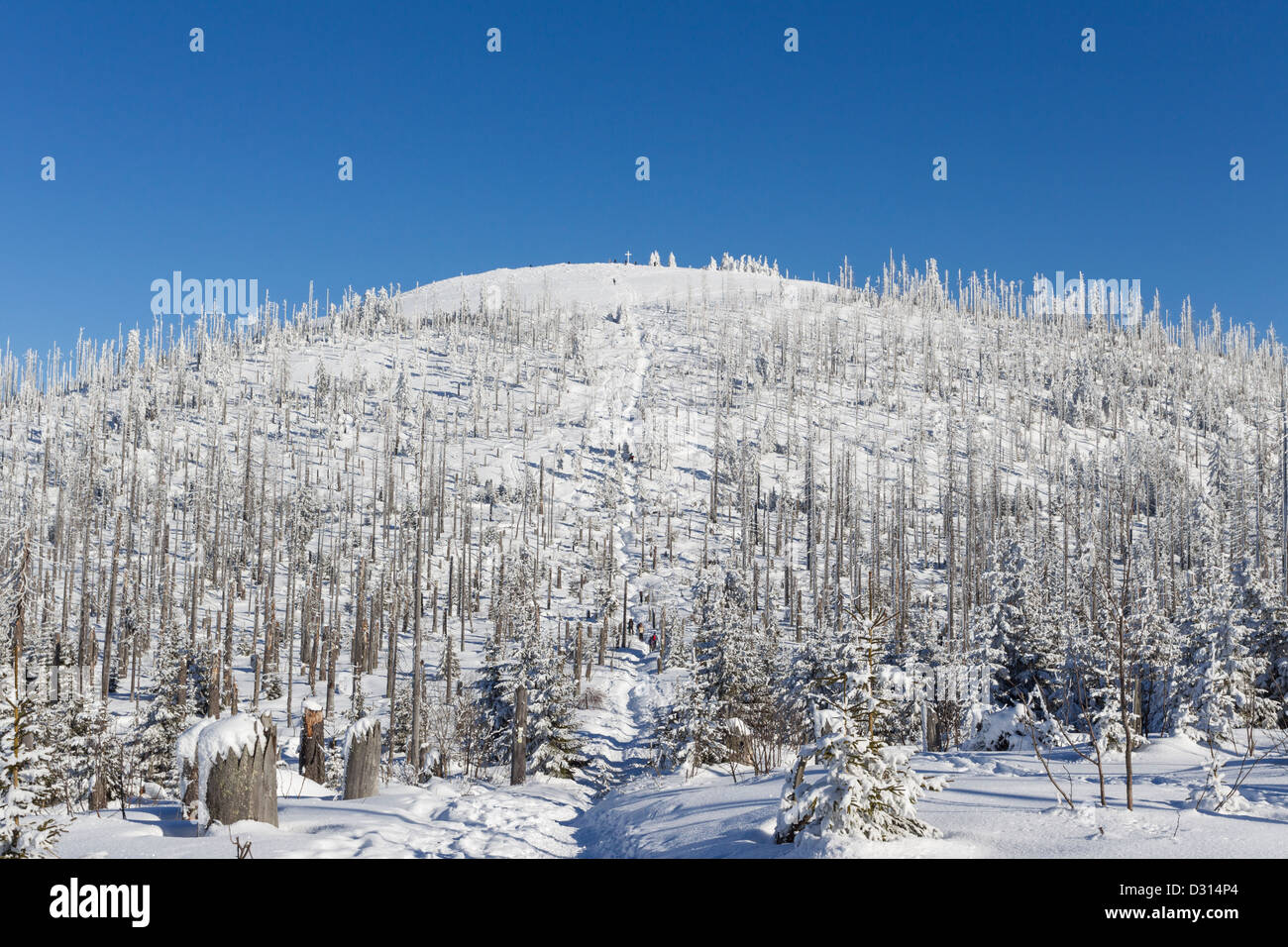 winter in bavarian forest, germany Stock Photo - Alamy