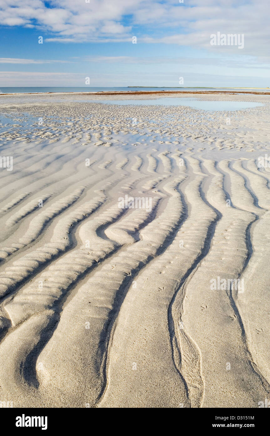 Isle of sanday hi-res stock photography and images - Alamy