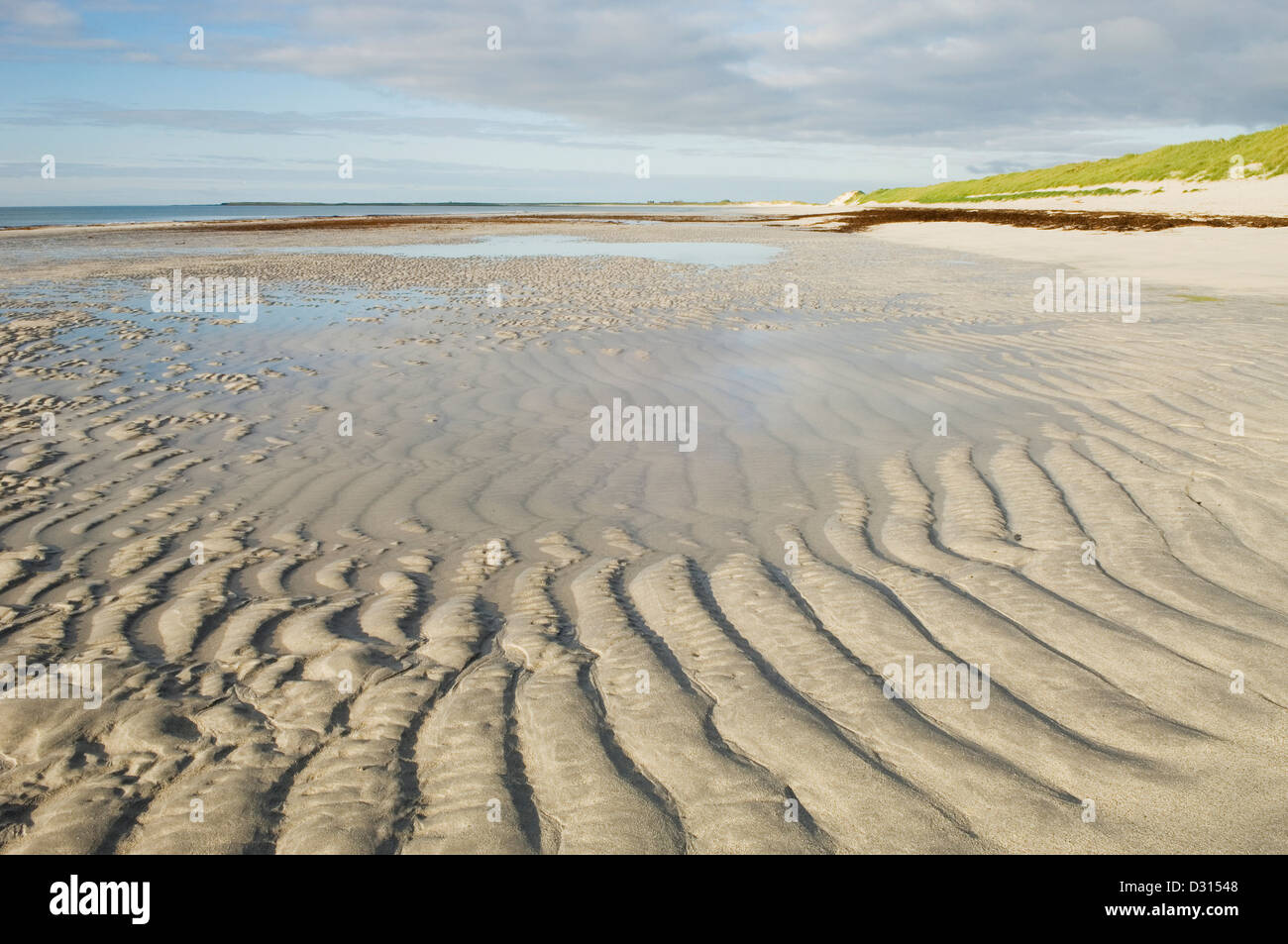 Bay of Newark, Sanday, Orkney Islands, Scotland Stock Photo - Alamy