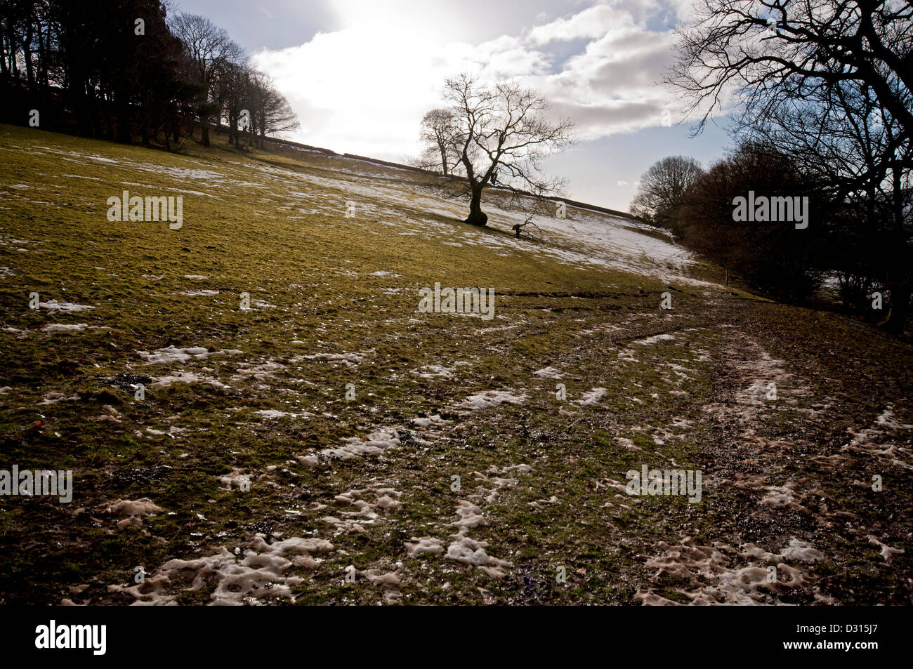 Wintry farm field outside Hathersage in the Peak District Stock Photo ...
