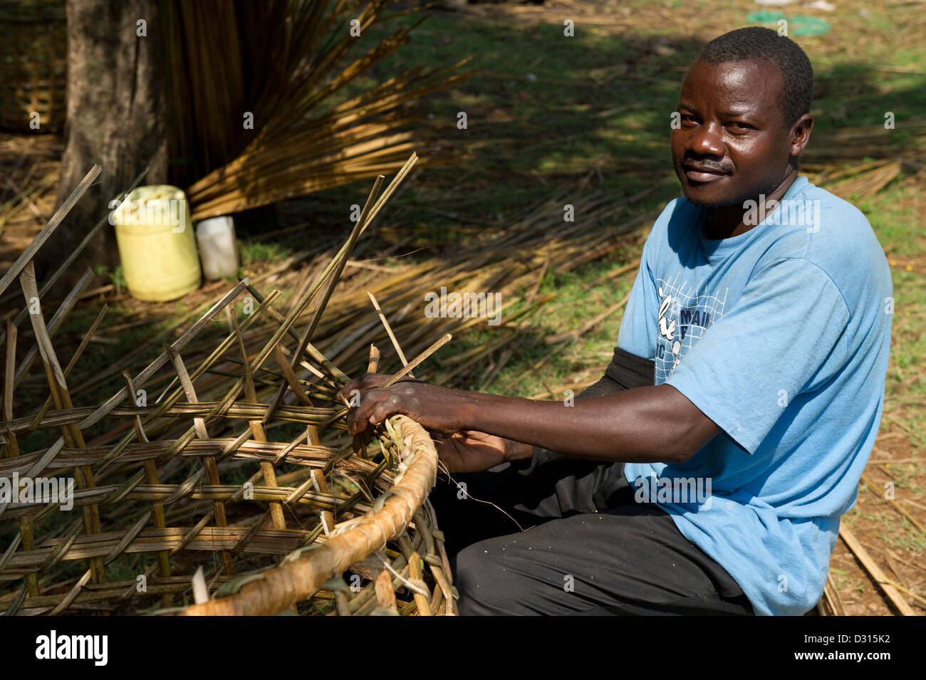 Papyrus Reed High Resolution Stock Photography and Images - Alamy