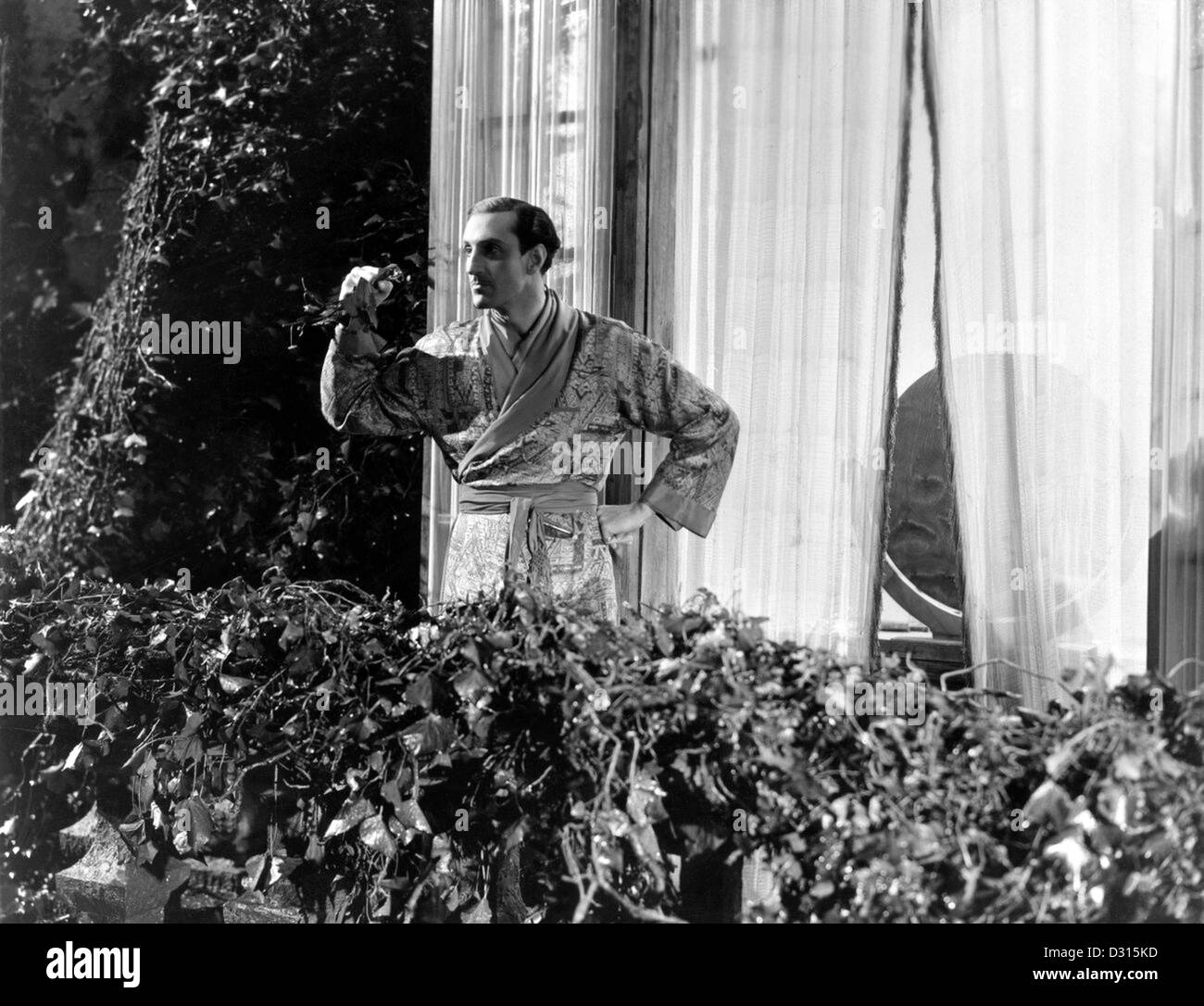 Tree basil leaves Black and White Stock Photos & Images - Alamy