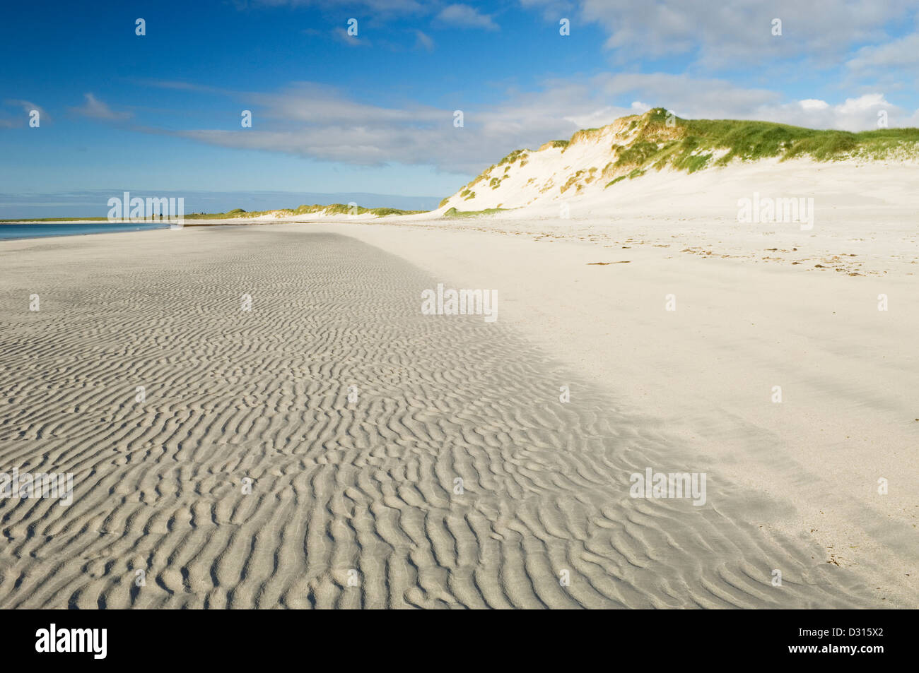 Bay of Newark, Sanday, Orkney Islands, Scotland Stock Photo - Alamy
