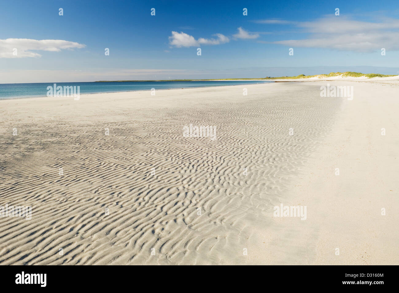 Bay of Newark, Sanday, Orkney Islands, Scotland Stock Photo - Alamy
