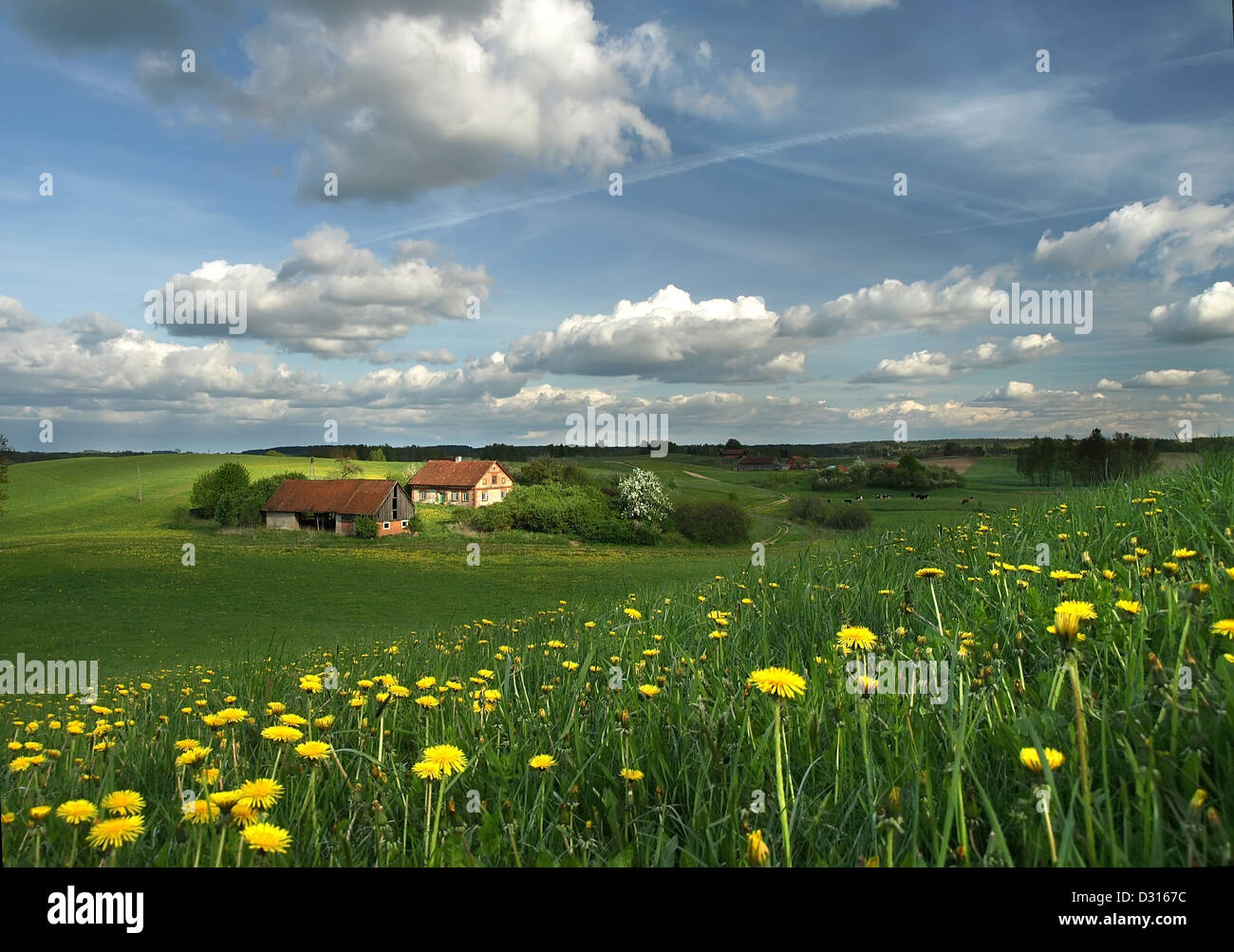 Summer landscape with farm and wildflowers Stock Photo - Alamy