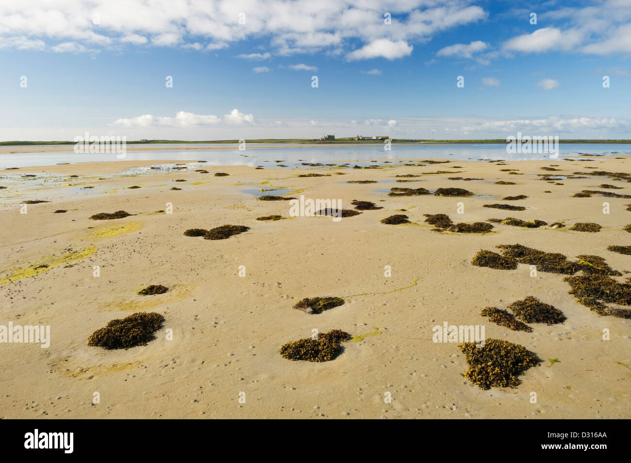 Island of sanday hi-res stock photography and images - Alamy