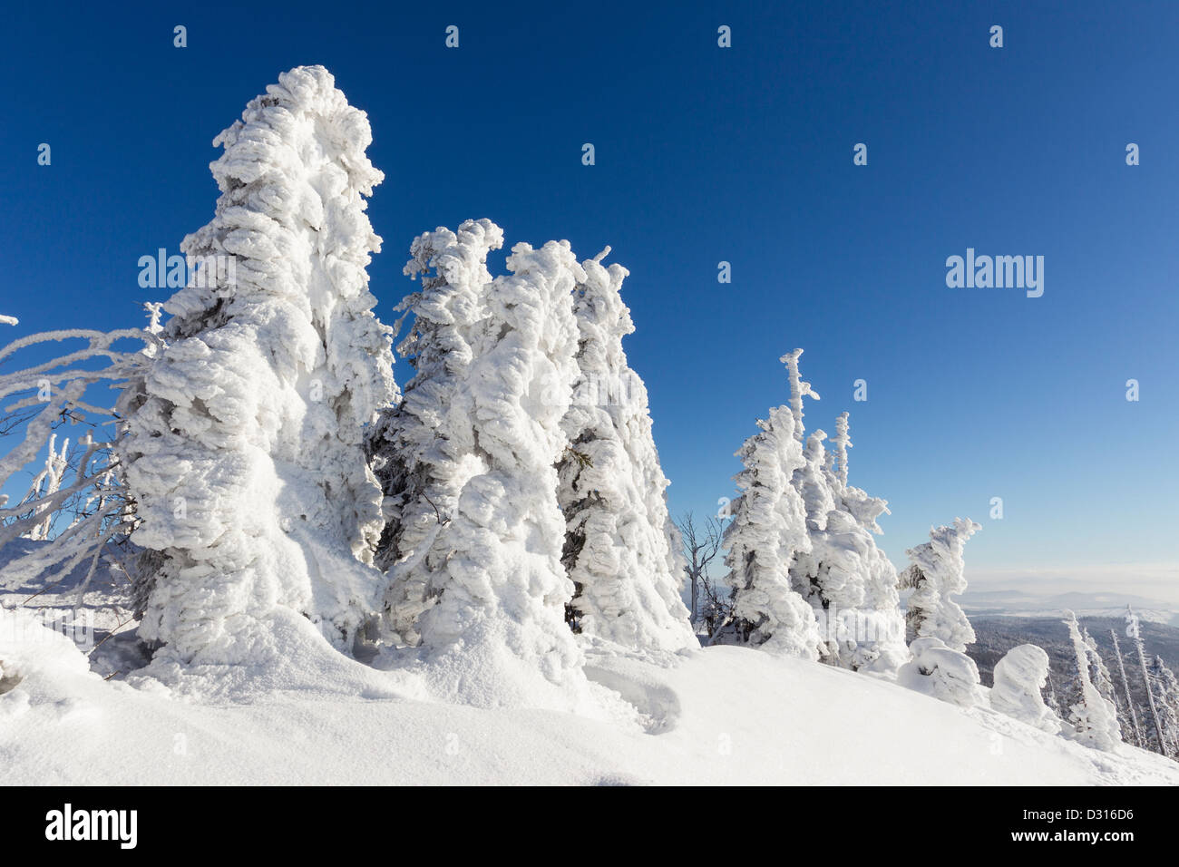 winter in bavarian forest, germany Stock Photo - Alamy