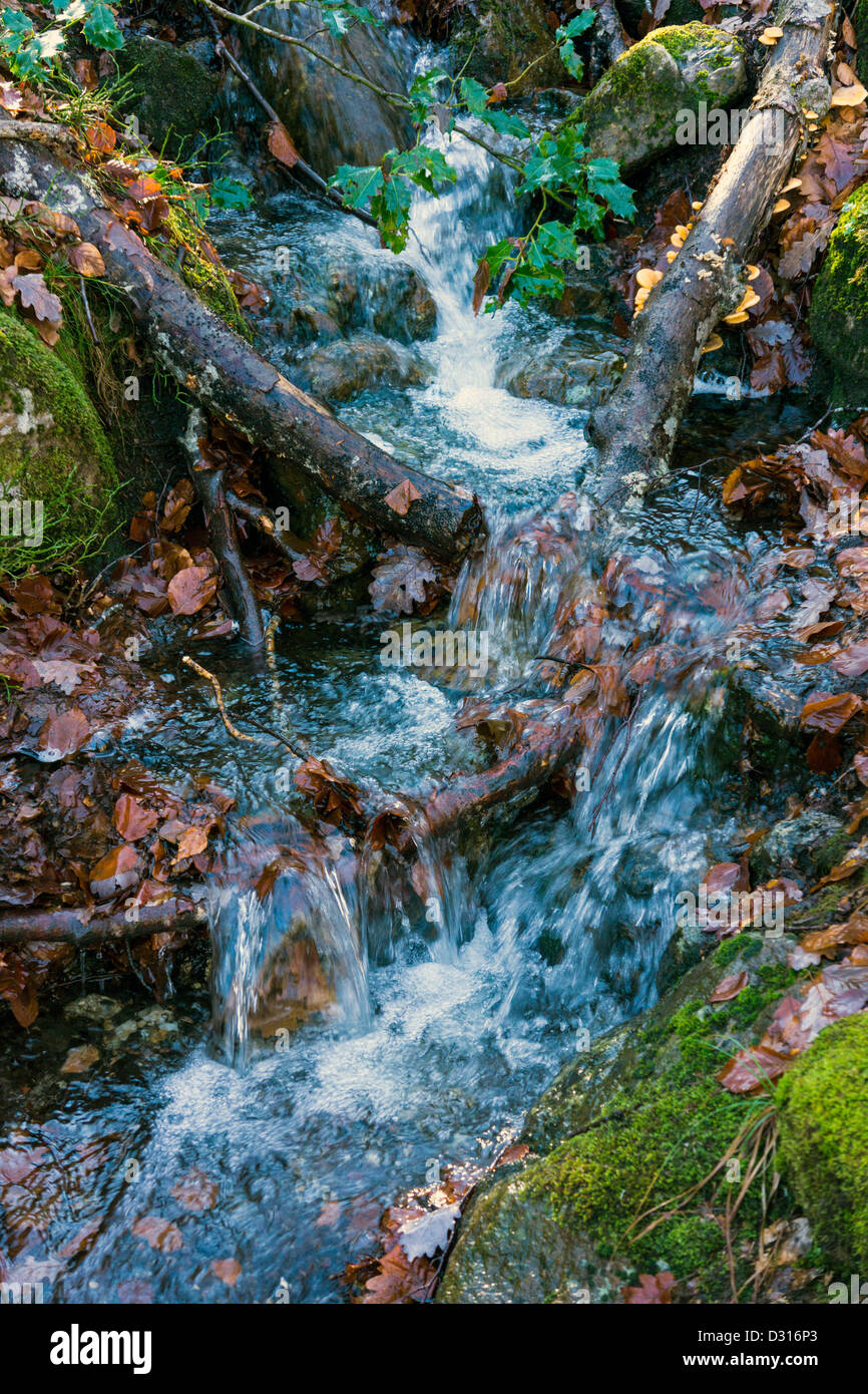 Autumn woodland stream with cascades and leaves Stock Photo - Alamy