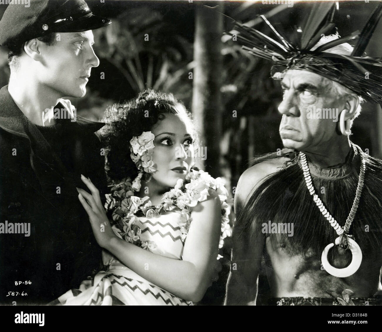 Bird of Paradise Stock Photo - Alamy