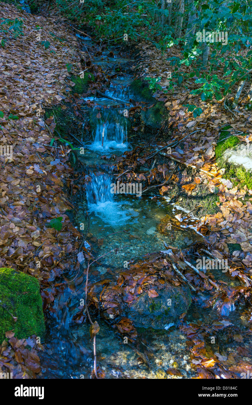 Autumn woodland stream with cascades and leaves Stock Photo - Alamy
