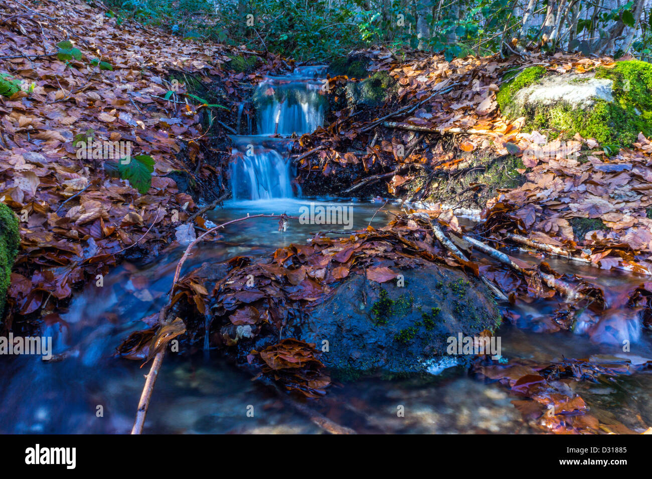Autumn woodland stream with cascades and leaves Stock Photo - Alamy