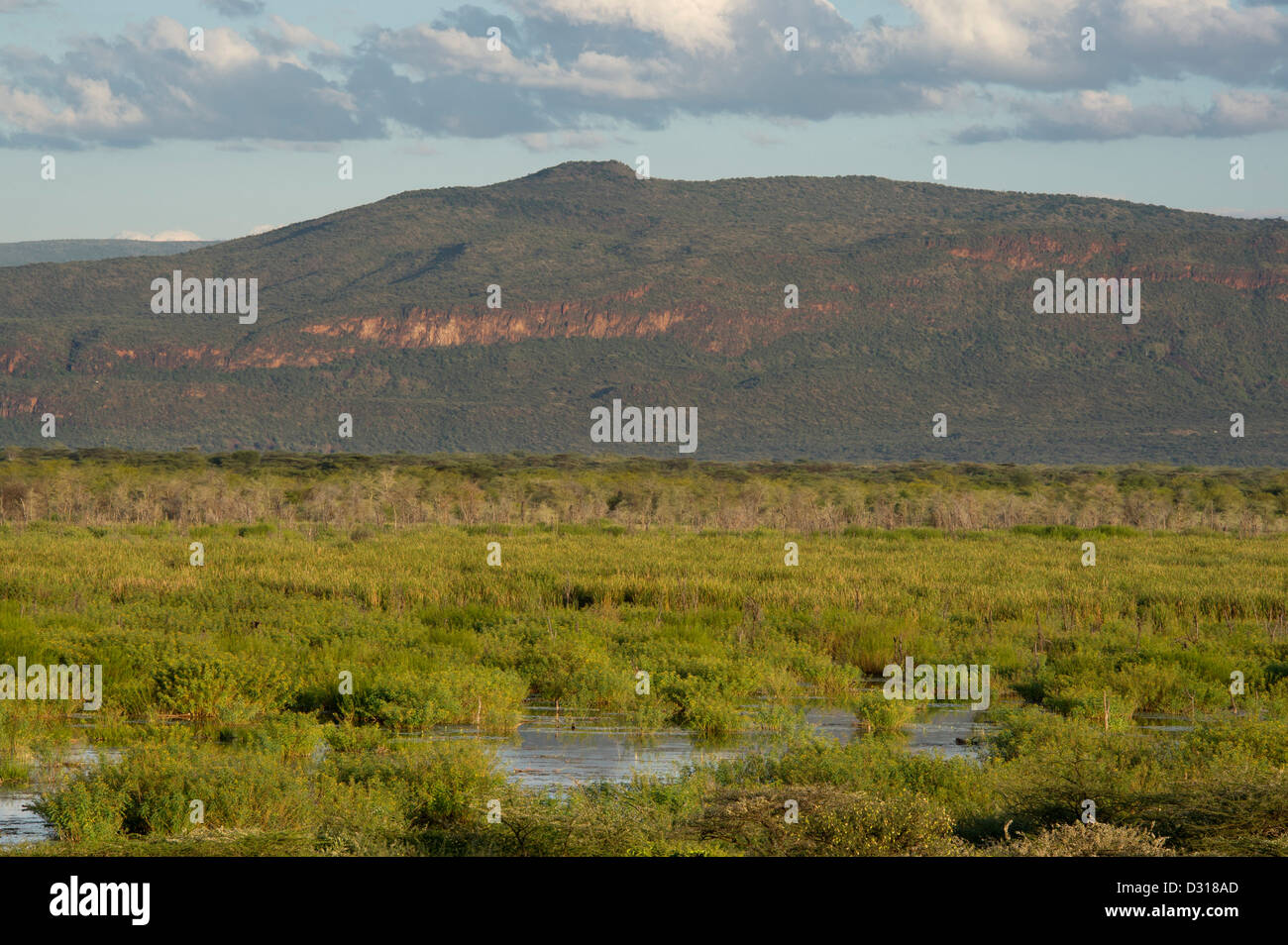 Scenery, Lake Baringo, Kenya Stock Photo - Alamy