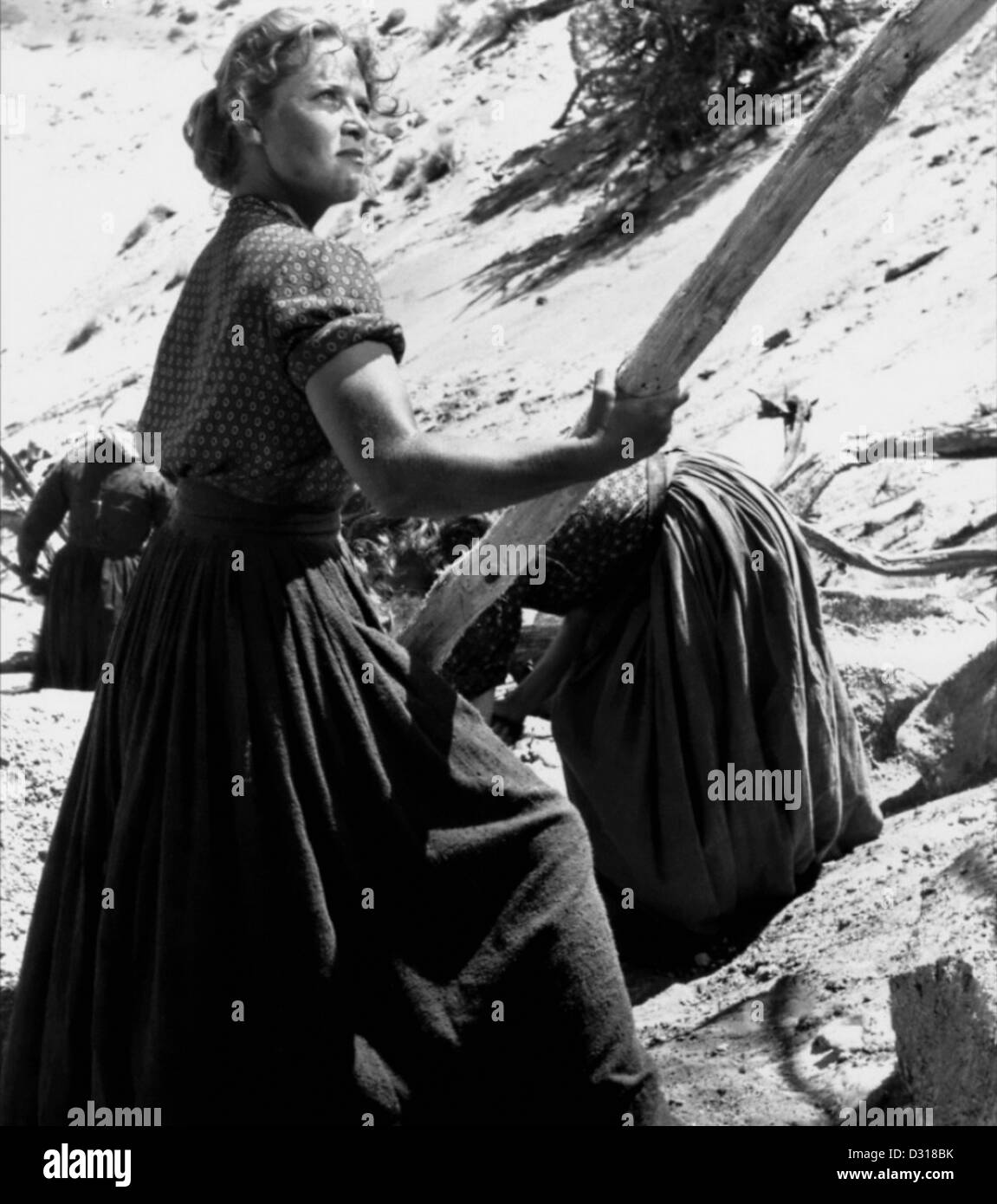 Denise darcel hi-res stock photography and images - Alamy