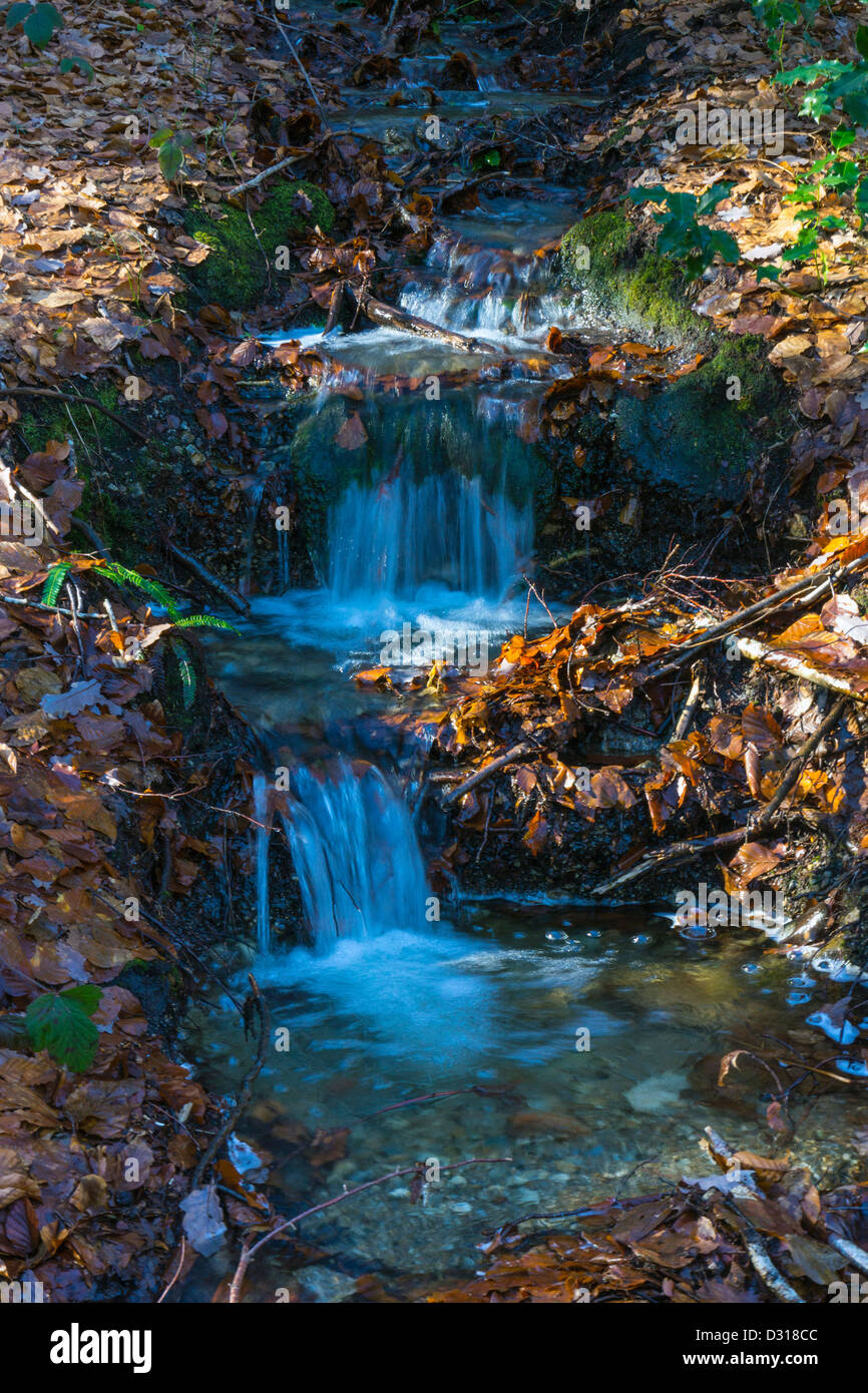 Autumn woodland stream with cascades and leaves Stock Photo - Alamy
