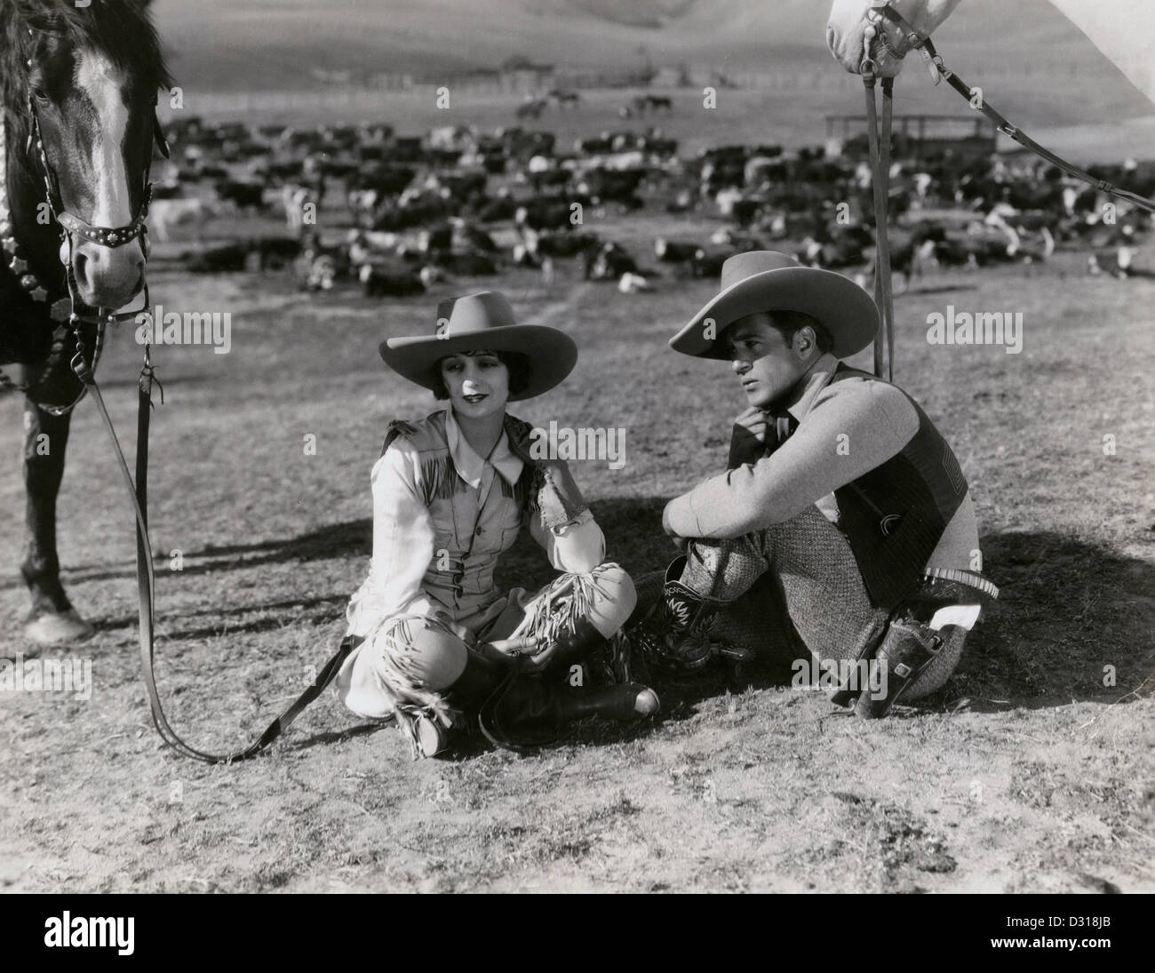 The Last Cowboy Hallmark Movie