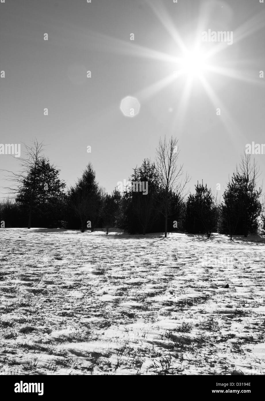 Set winter landscape Black and White Stock Photos & Images - Alamy