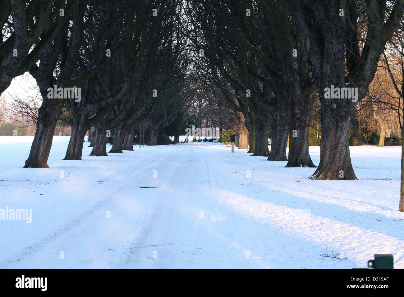 Snow Scene Tree Lined Road Stock Photo - Alamy