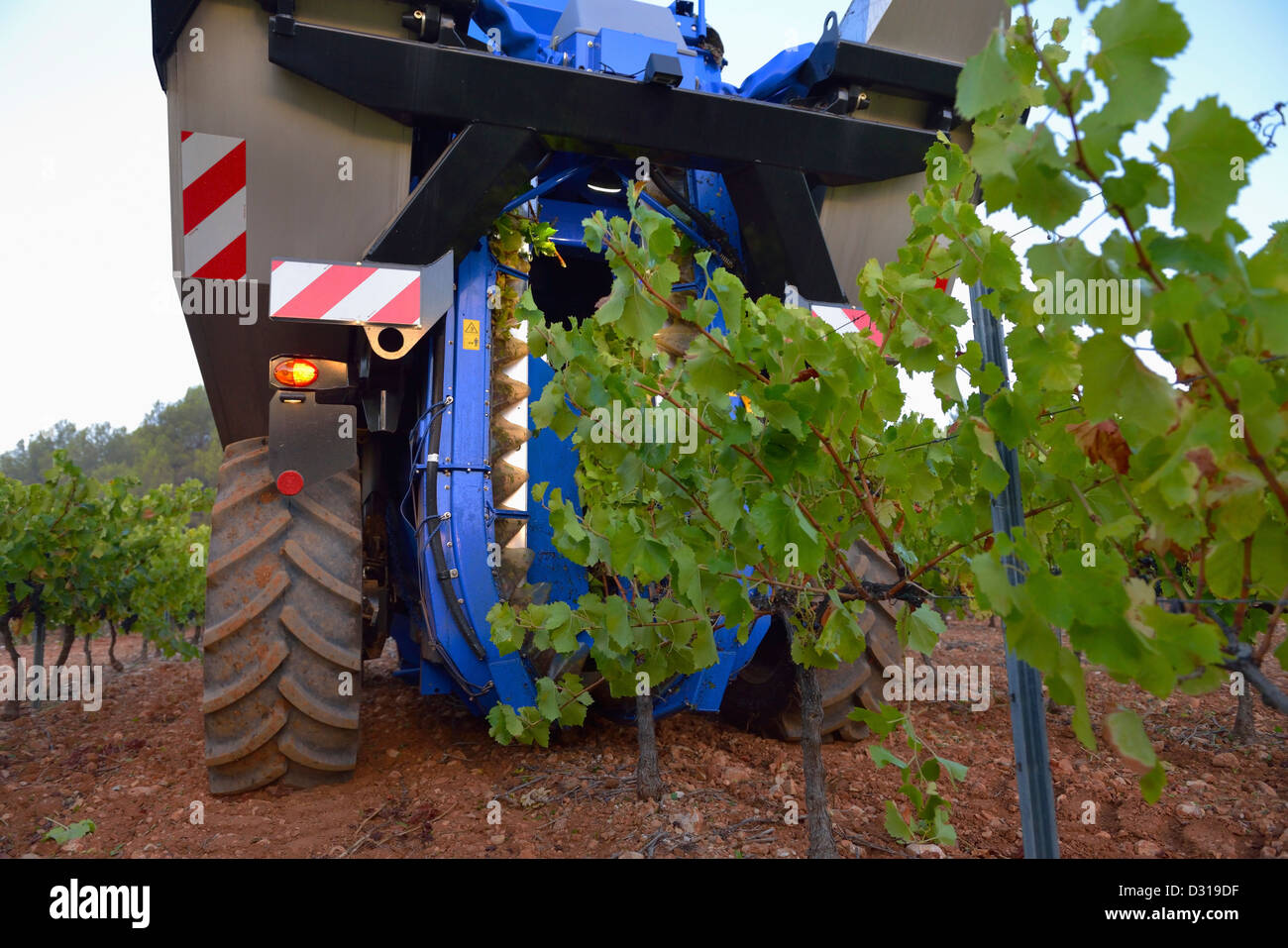 Mechanical harvesting machine hi-res stock photography and images - Alamy