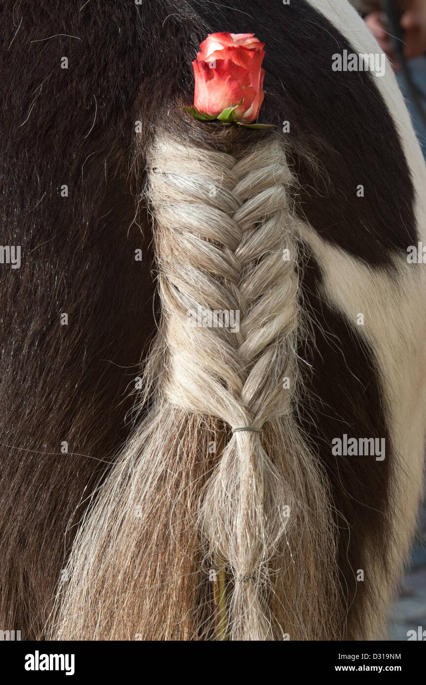 Horse tail decorations hi-res stock photography and images - Alamy