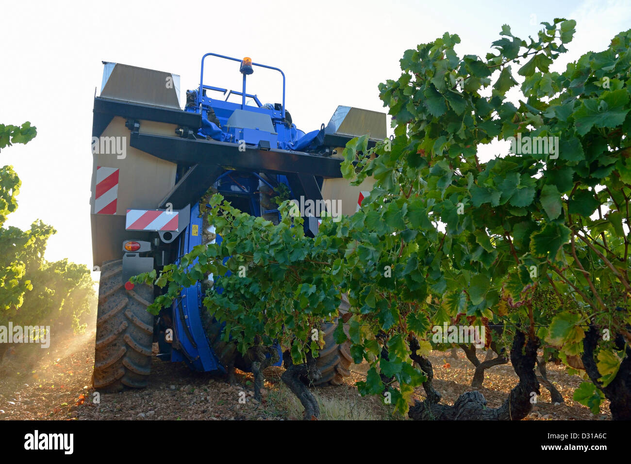 France vineyard hi-res stock photography and images - Alamy