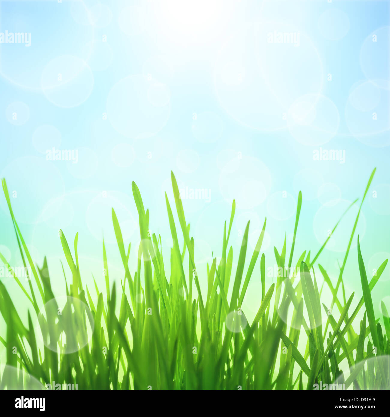 Spring abstract nature background with sun effect and bokeh. Green ...