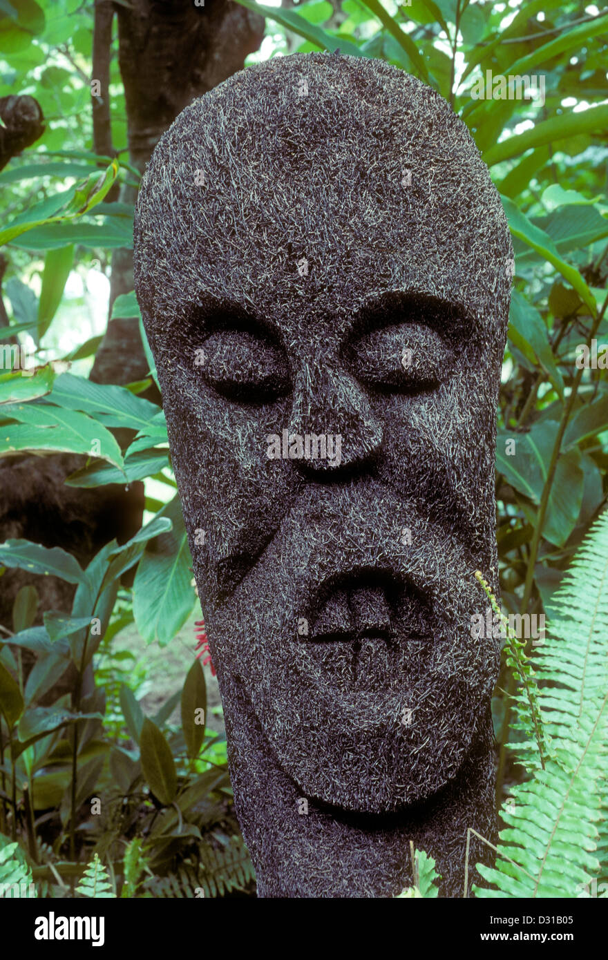 Fijian fern hi-res stock photography and images - Alamy