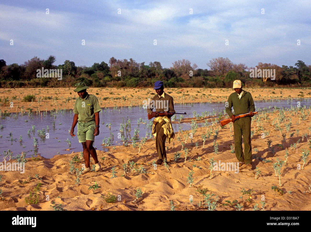 Kenneth Manyangadze, chief scout, on left, tracking Black Rhino spoor ...