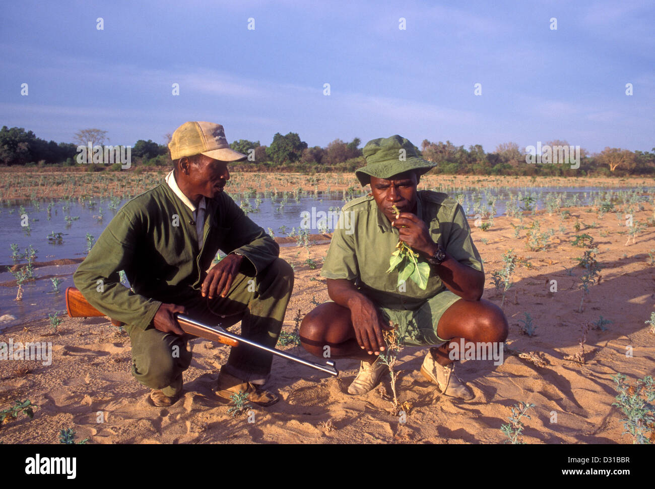Tracking right hi-res stock photography and images - Alamy