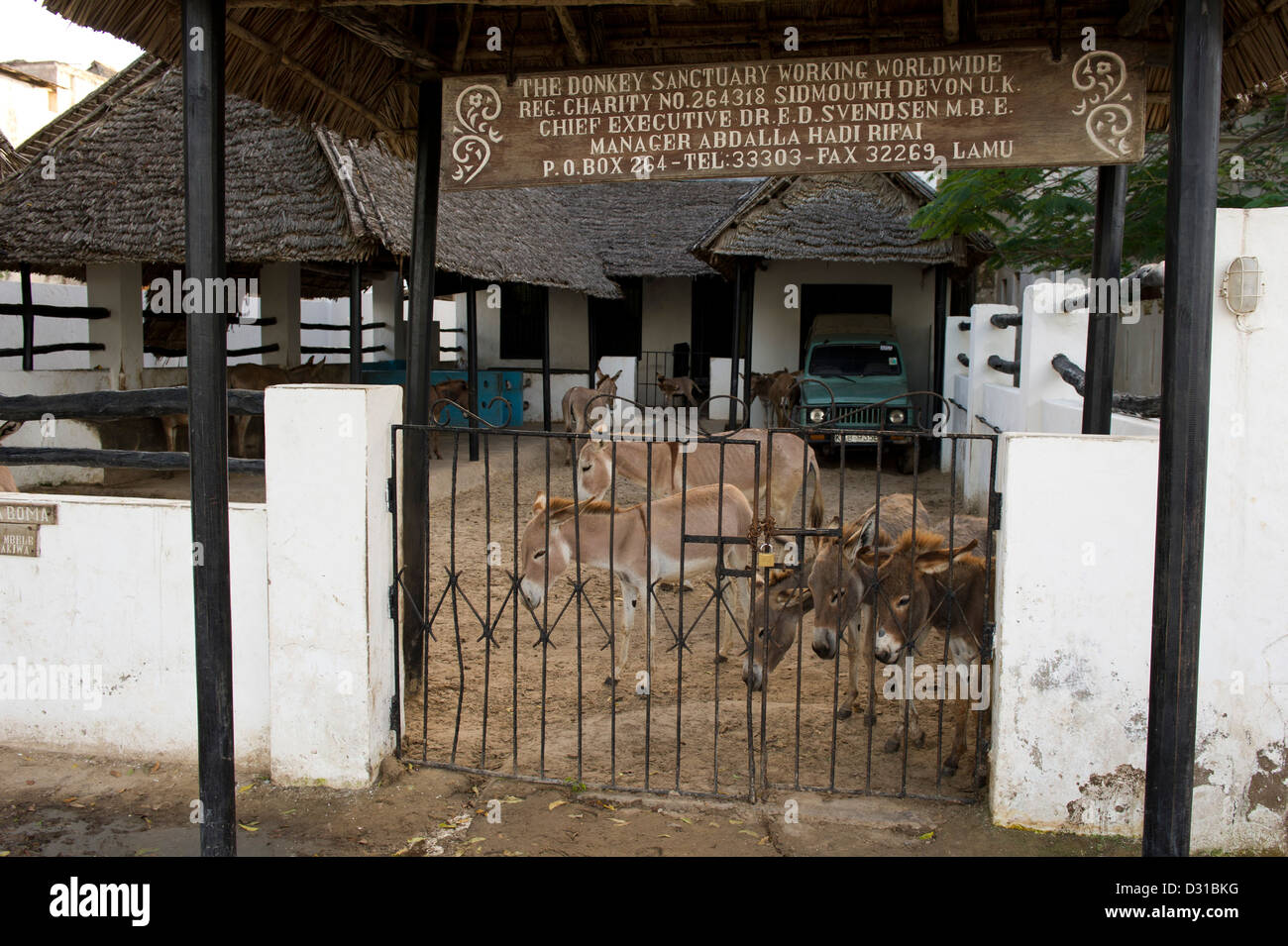 The Donkey Sanctuary, Lamu, Lamu Archipelago, Kenya Stock Photo - Alamy