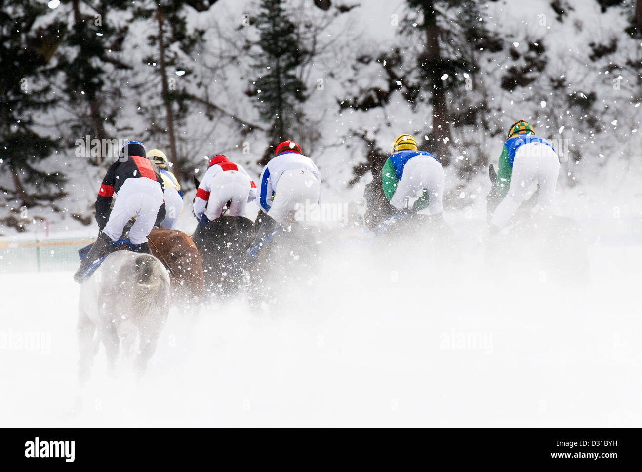 Switzerland, St. Moritz, White turf race Stock Photo - Alamy