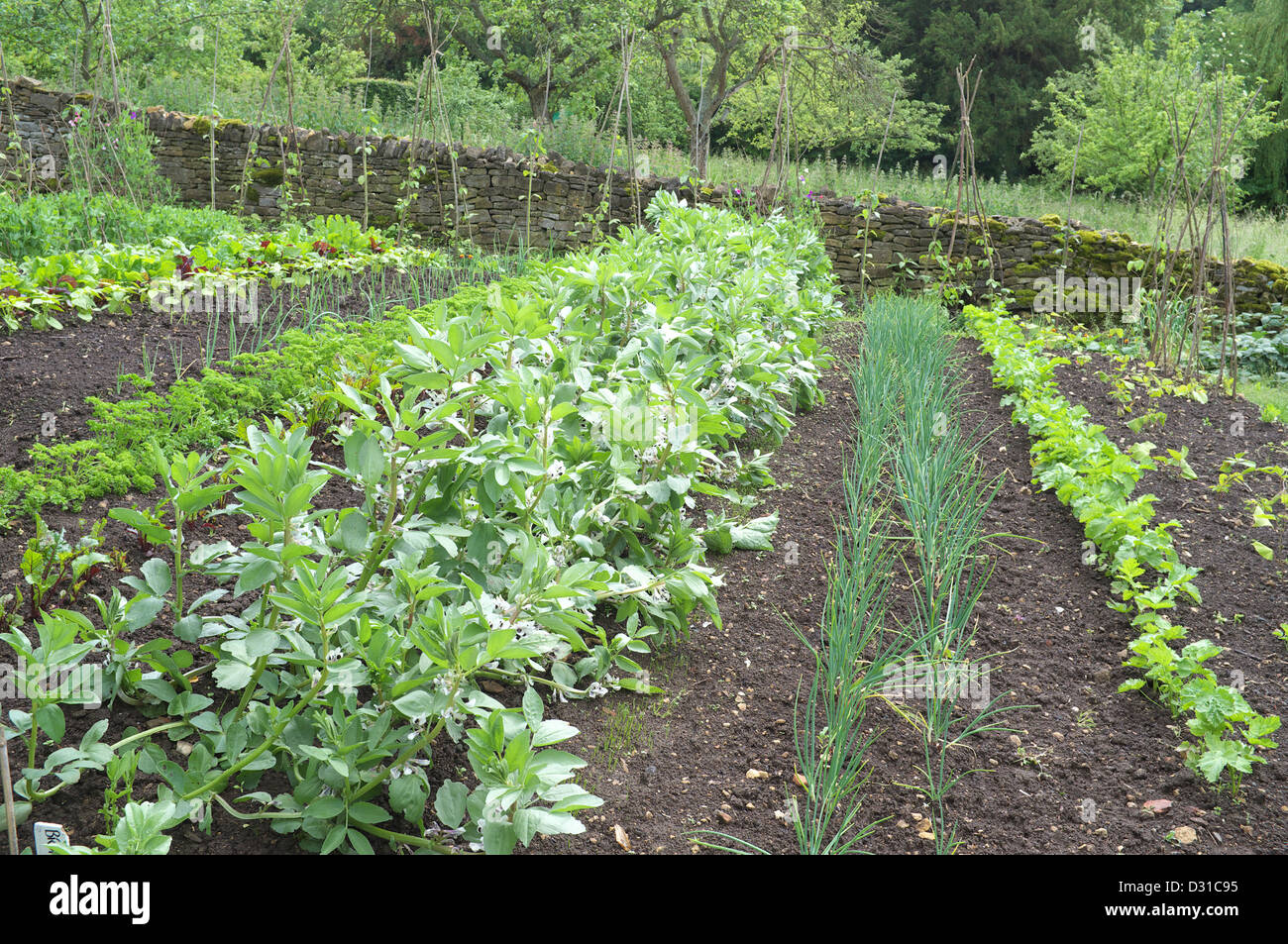 Vegetable plot plots hi-res stock photography and images - Alamy