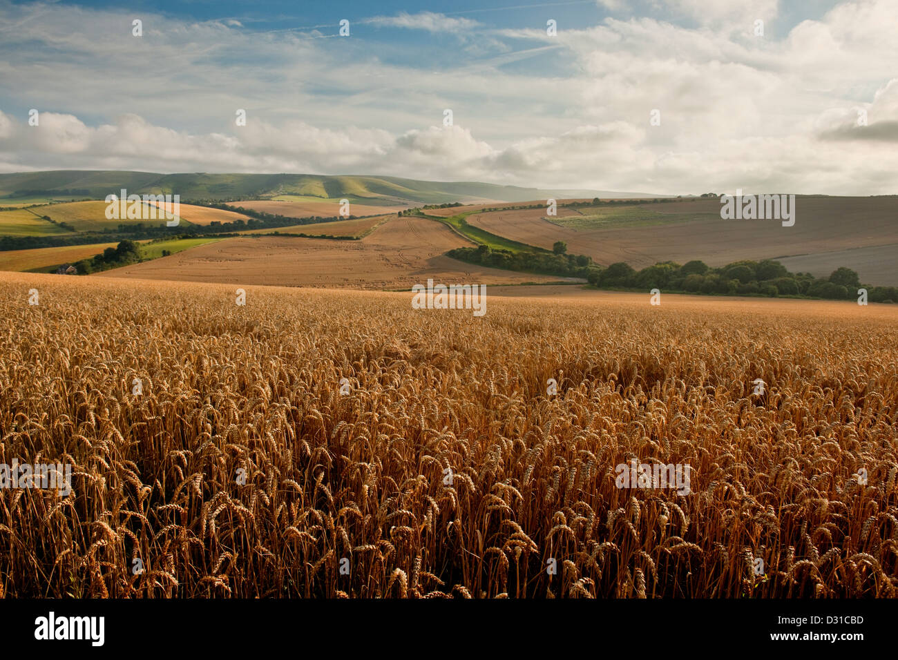 The countryside in lewes hi-res stock photography and images - Alamy