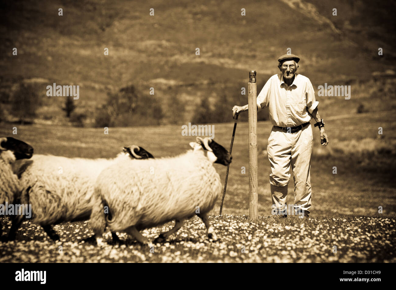 Crofter Stock Photos & Crofter Stock Images - Alamy