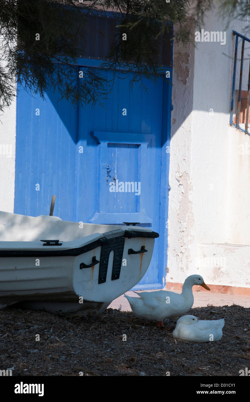 Two ducks sun shade hi-res stock photography and images - Alamy