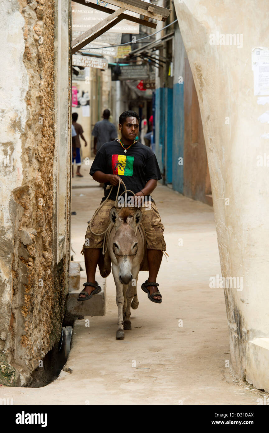 Man riding a donkey in a narrow alley in Lamu town, Lamu Archipelago ...