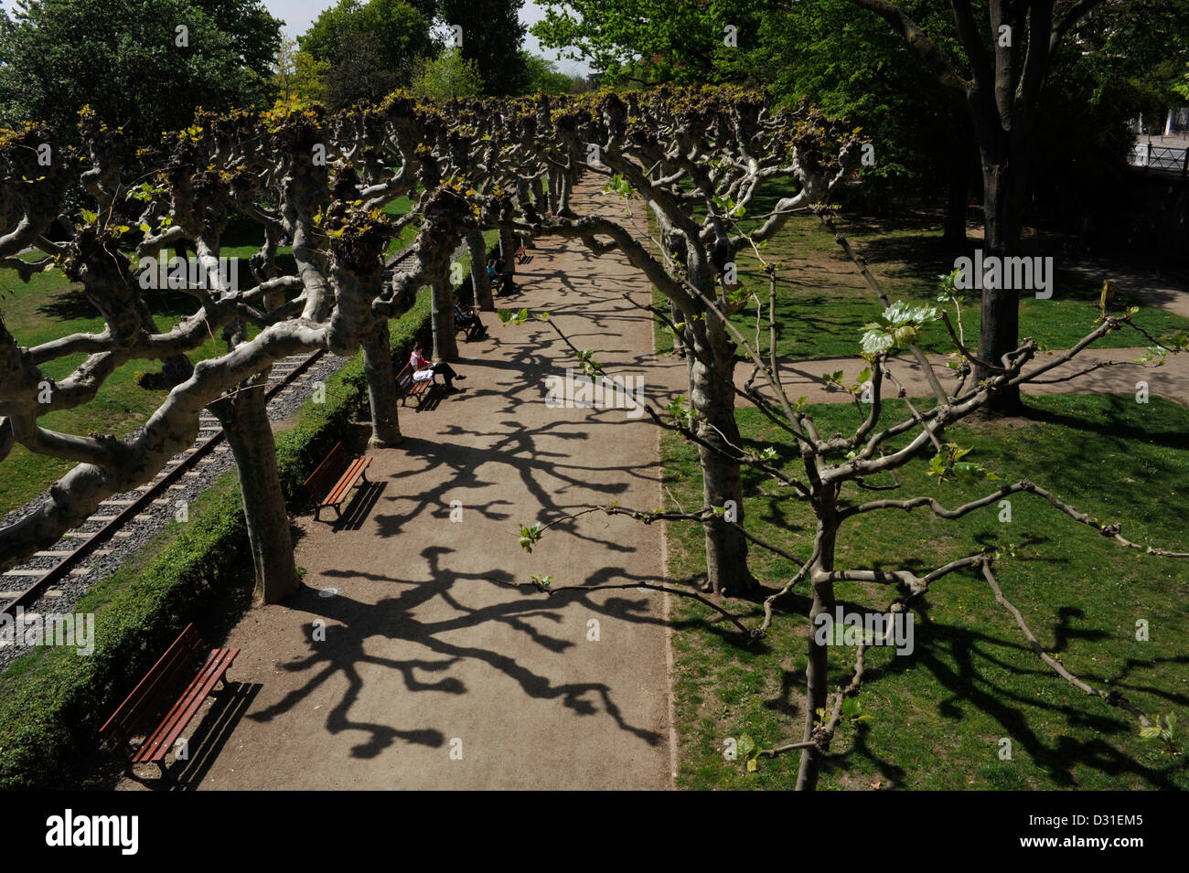 a park near river main Stock Photo - Alamy