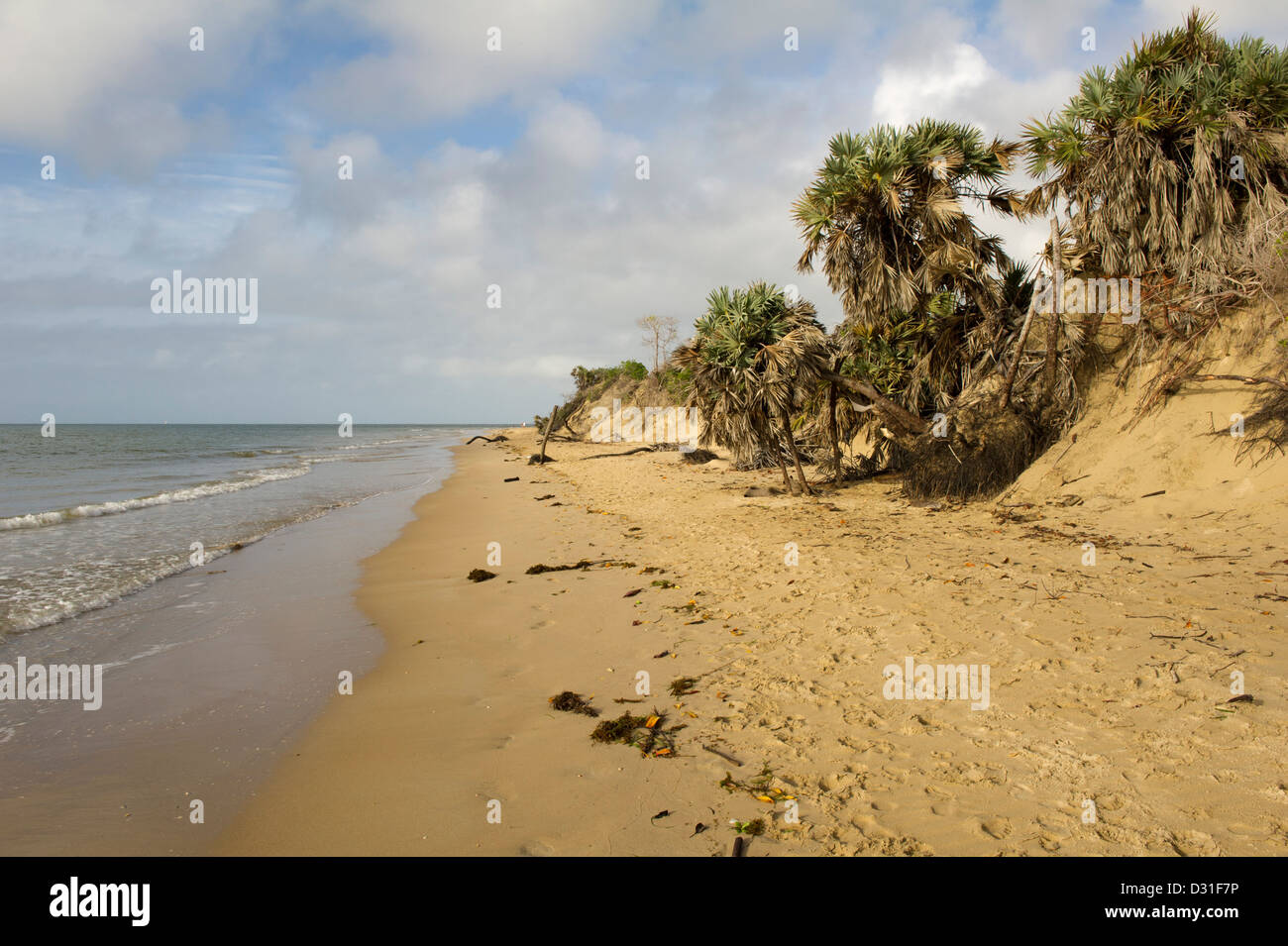 Shela beach, Lamu Archipelago, Kenya Stock Photo - Alamy