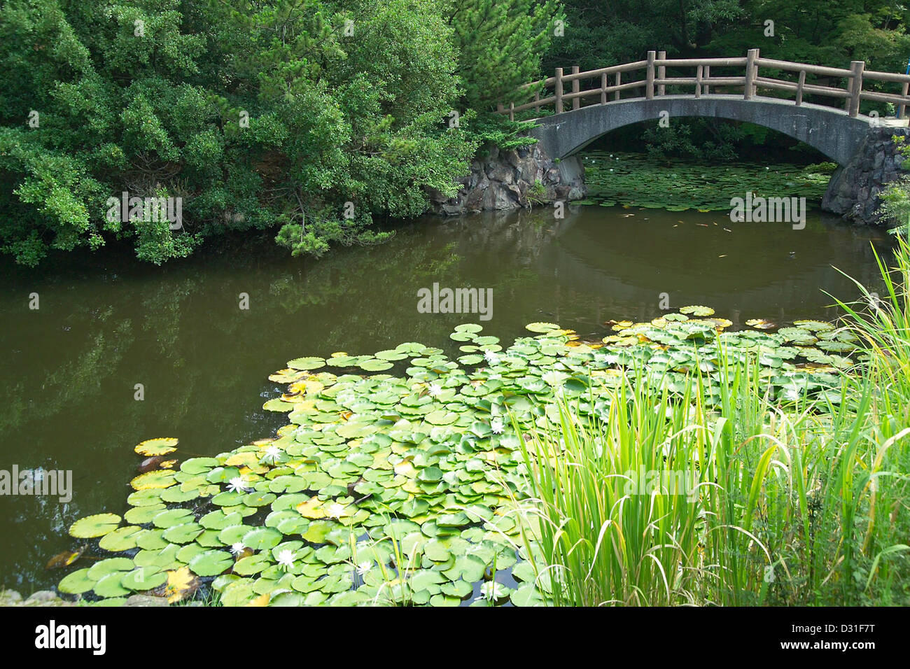 The Pond of Blood, located in Takamatsu, Kagawa Prefecture, Japan, is a ...