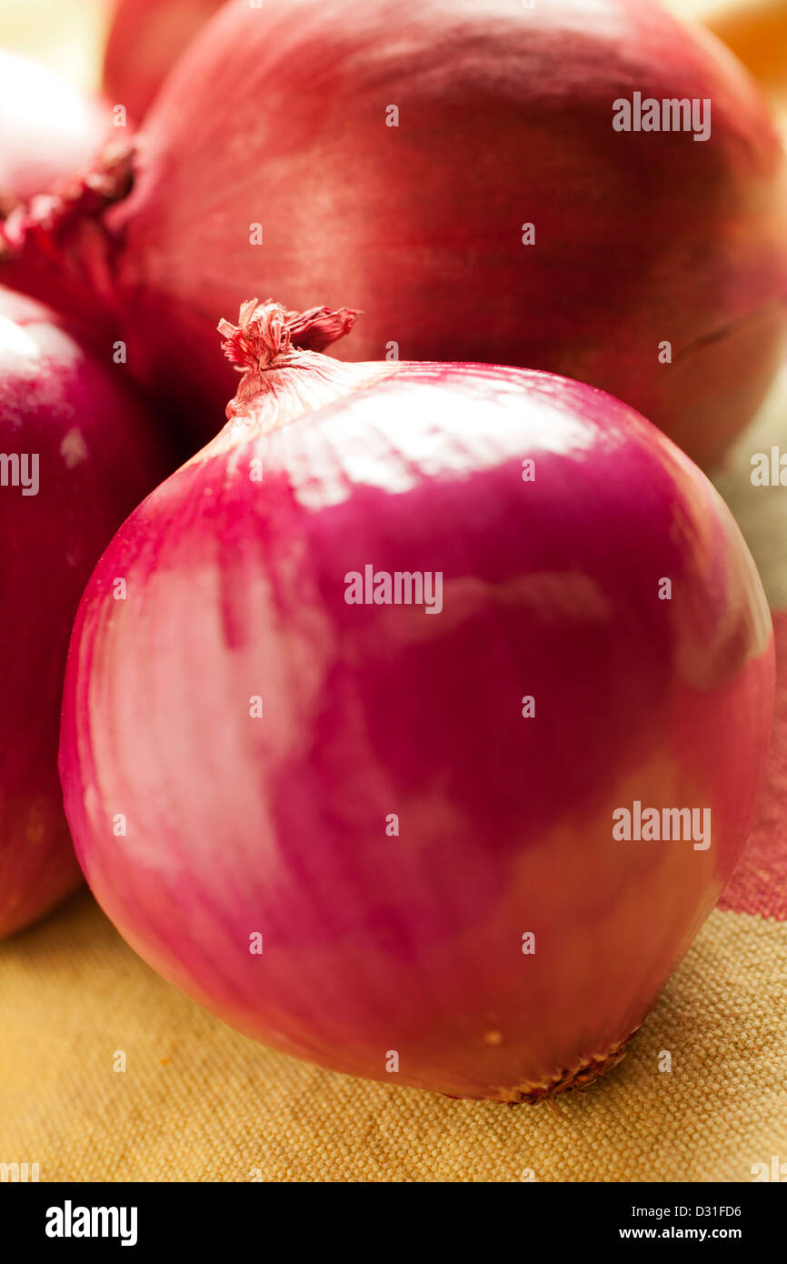 Bermuda onions hi-res stock photography and images - Alamy