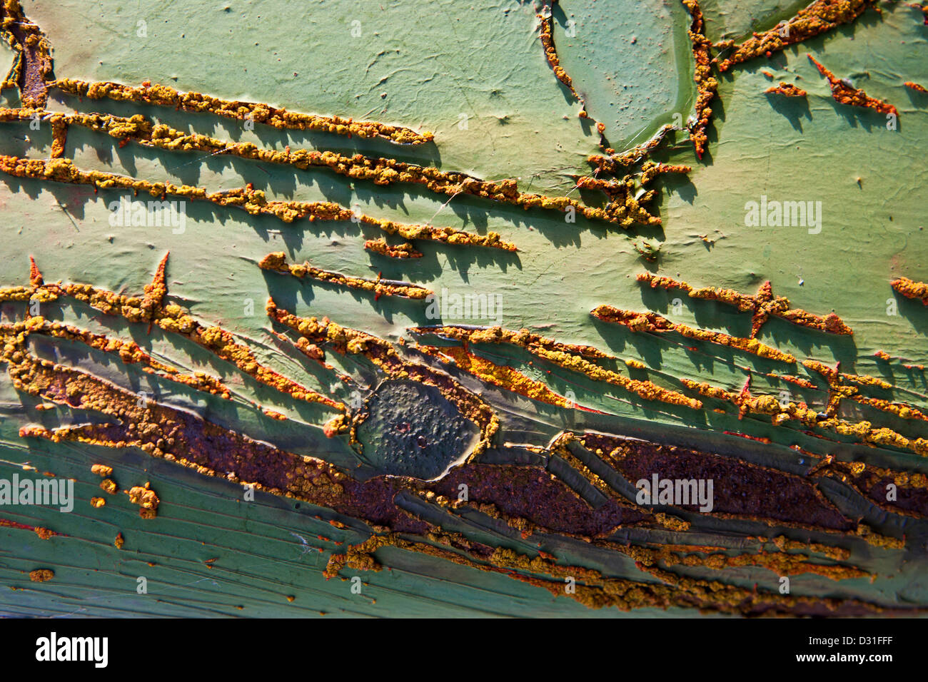 Colourful macro image of the decaying surface of an old oil drum Stock ...