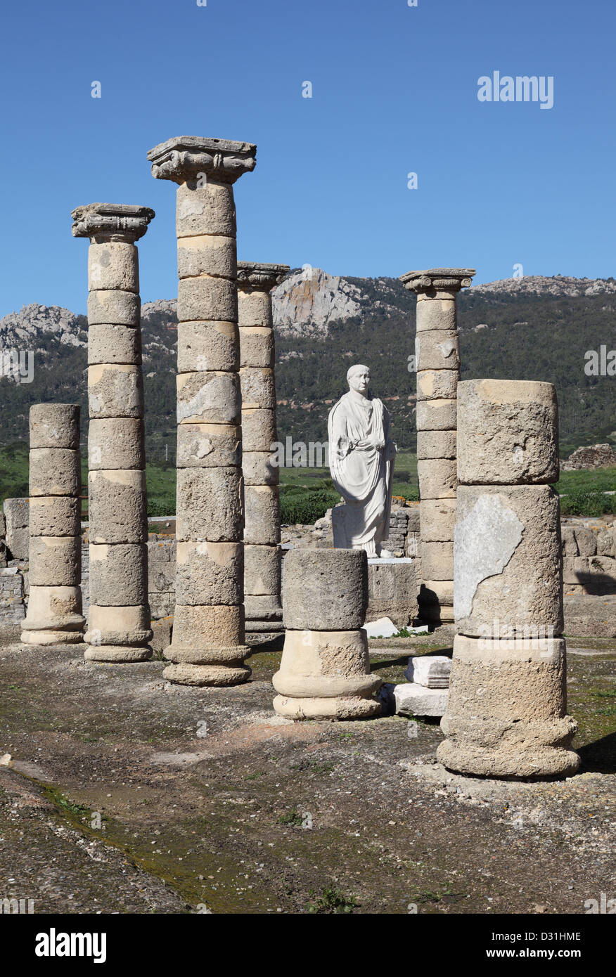 Baleo Claudia - roman ruins in Bolonia, Andalusia, southern Spain Stock ...