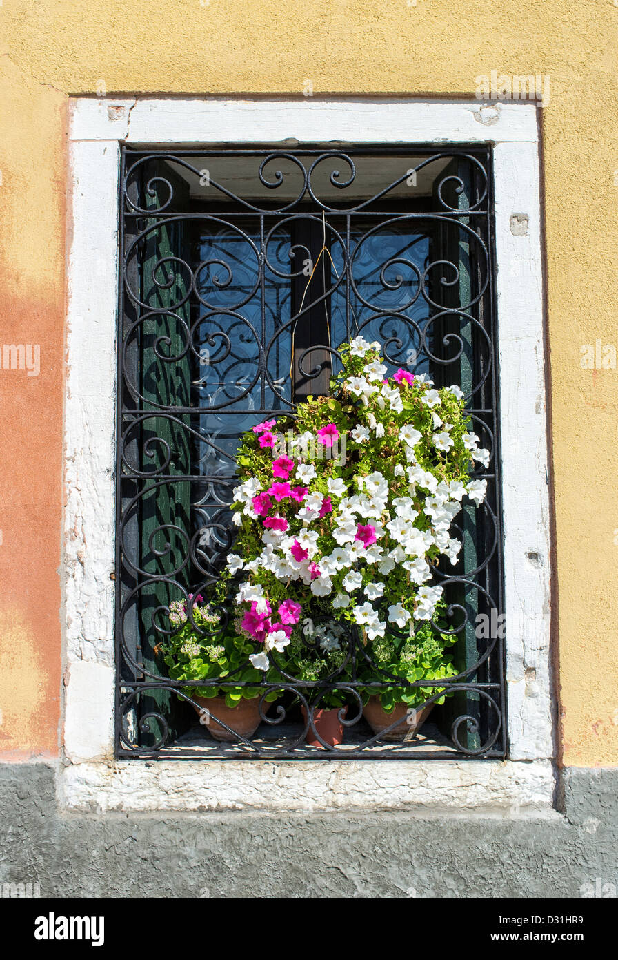 Flowers in the Window of a House in Venice Italy Stock Photo - Alamy