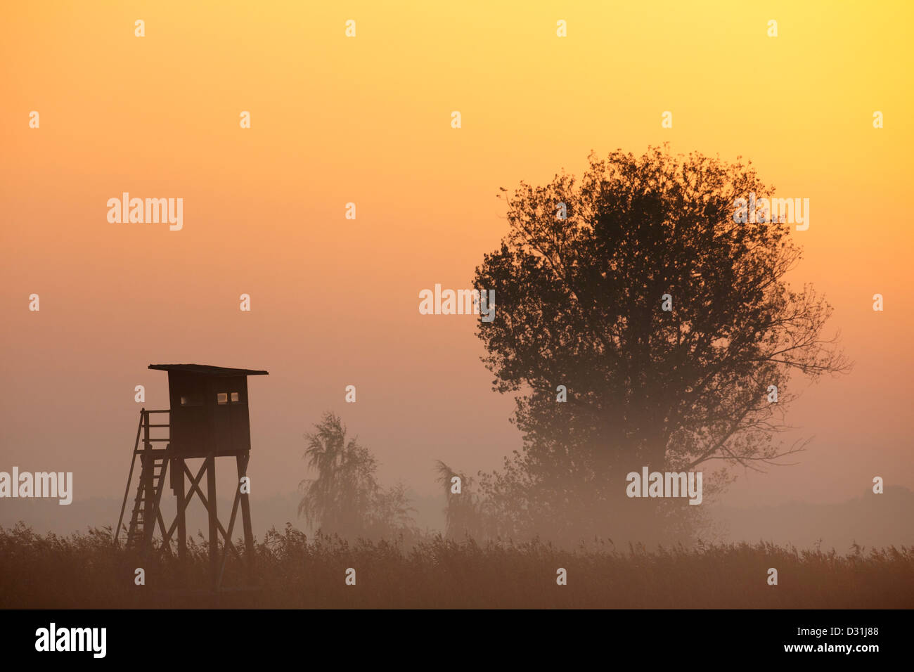 Stand silhouette hi-res stock photography and images - Alamy