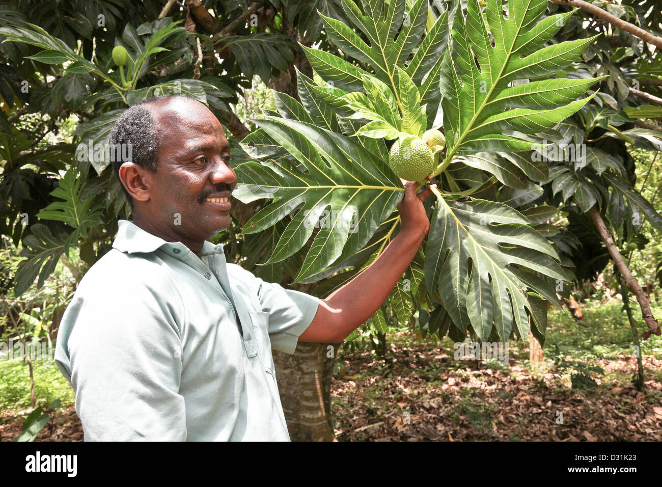 Organic Spice Farmer at Zanzibar;Africa;fruit;vegetables;herds grown on ...