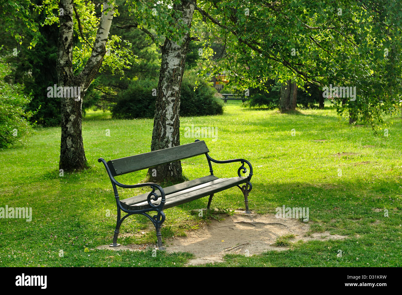 Wooden bench and birch in spring green park Stock Photo - Alamy