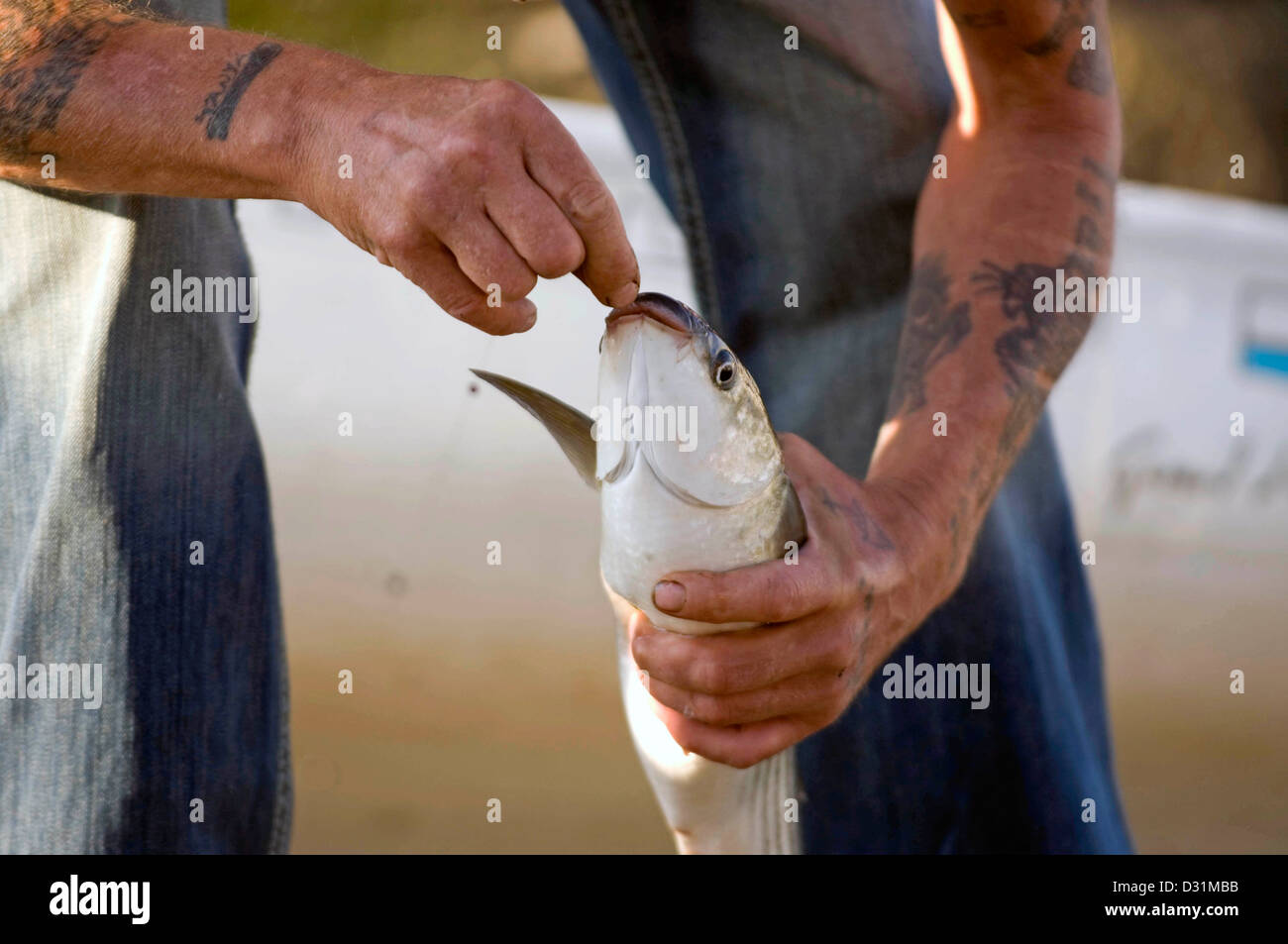 Remove hook from fish hi-res stock photography and images - Alamy